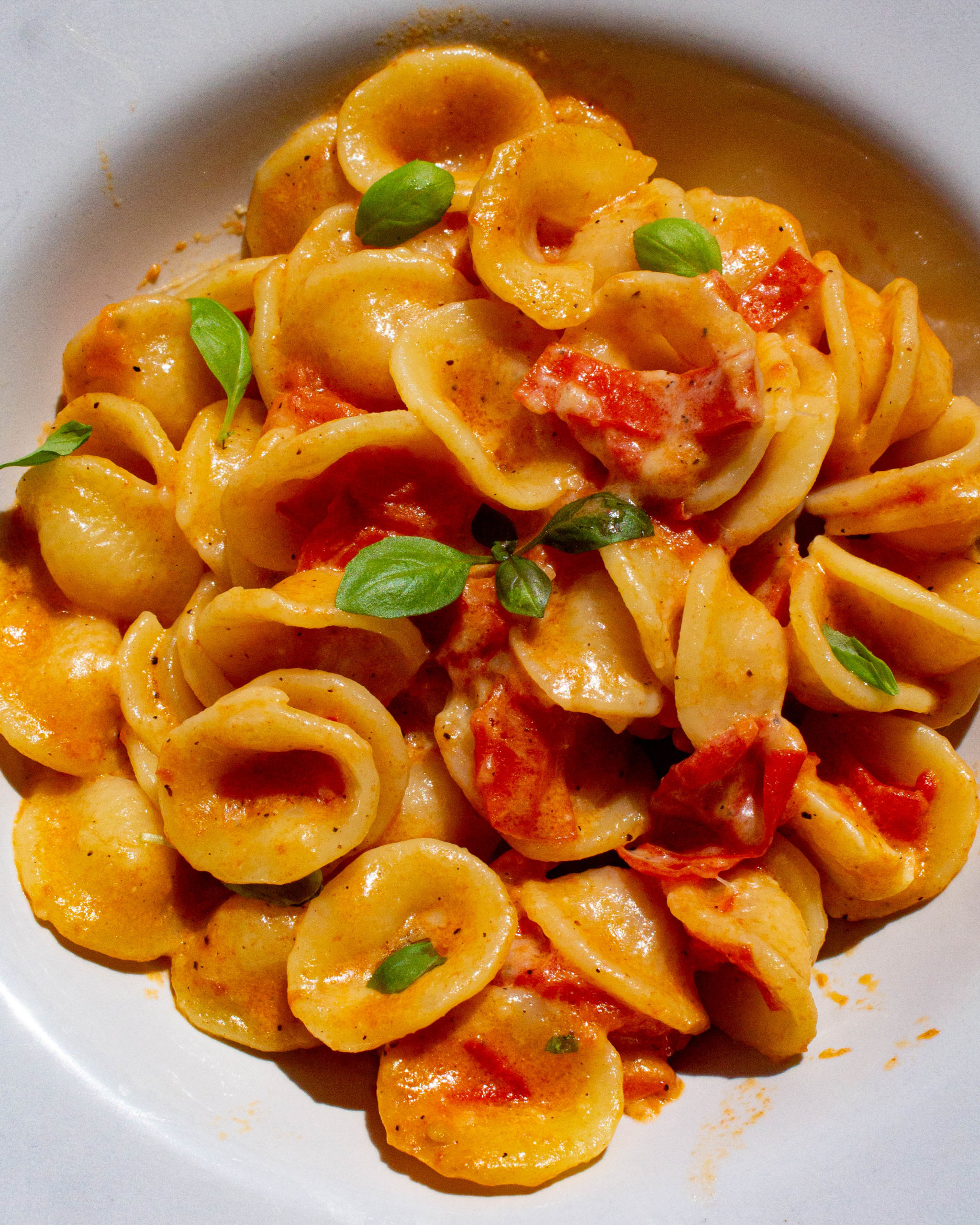 Cozy Fall Orecchiette Pasta - One Bite Nutrition